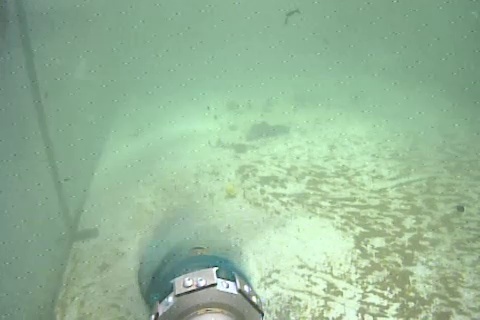 Underwater Object Recognition Object Detection Model by lingmuchen6688