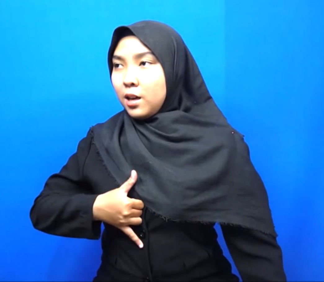 Club Hoki - Roboflow Universe