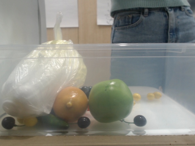 Fruite Vegetable Detection Object Detection Dataset And Pre Trained Model By Dango