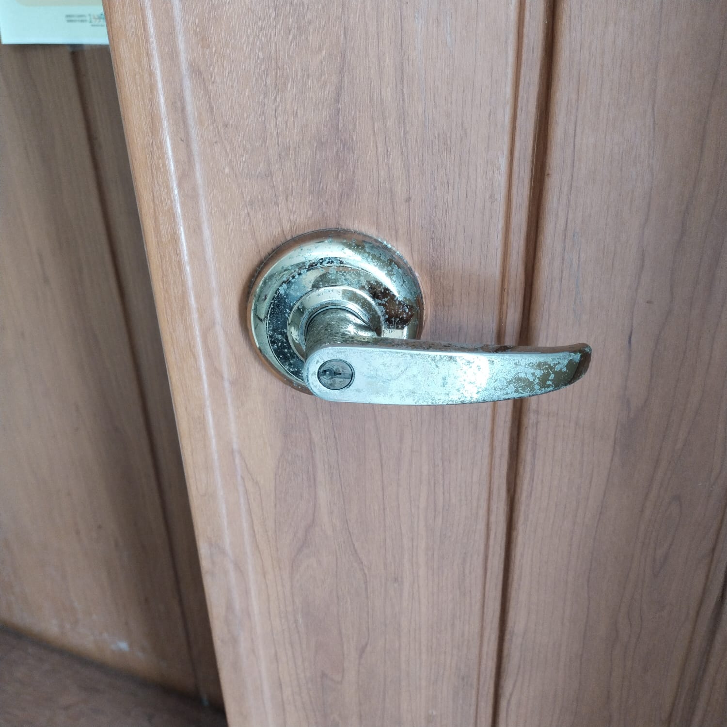 Lever Handle Instance Segmentation Dataset by labelling