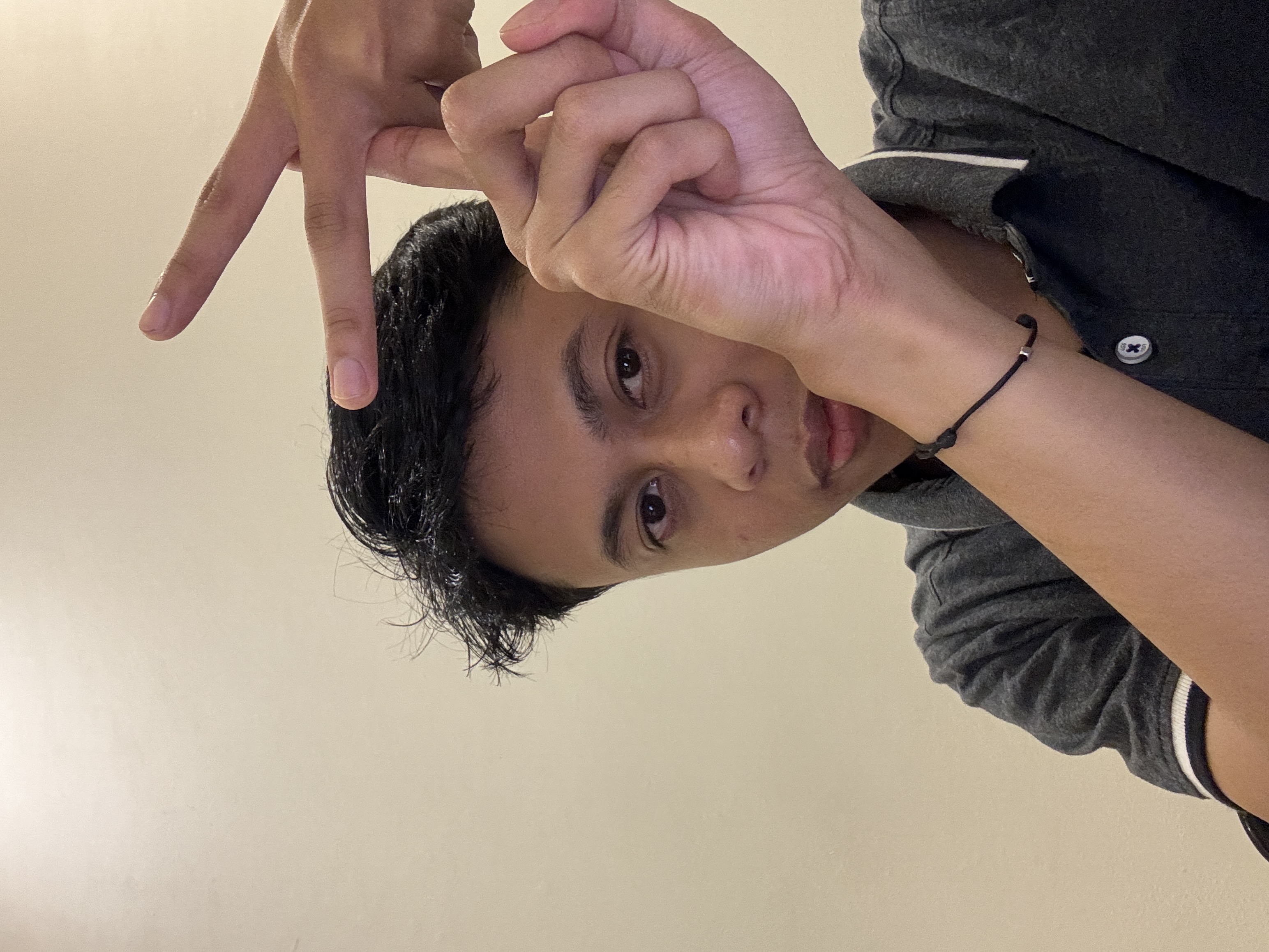 BISINDO Sign Language Detection Object Detection Dataset (v10, 2024-11 ... BISINDO Sign Language Detection Object Detection Dataset (v10, 2024-11 ...