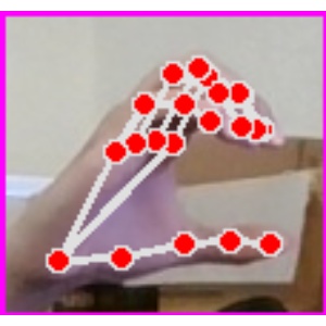 hand Classification Dataset by HandSignLanguage