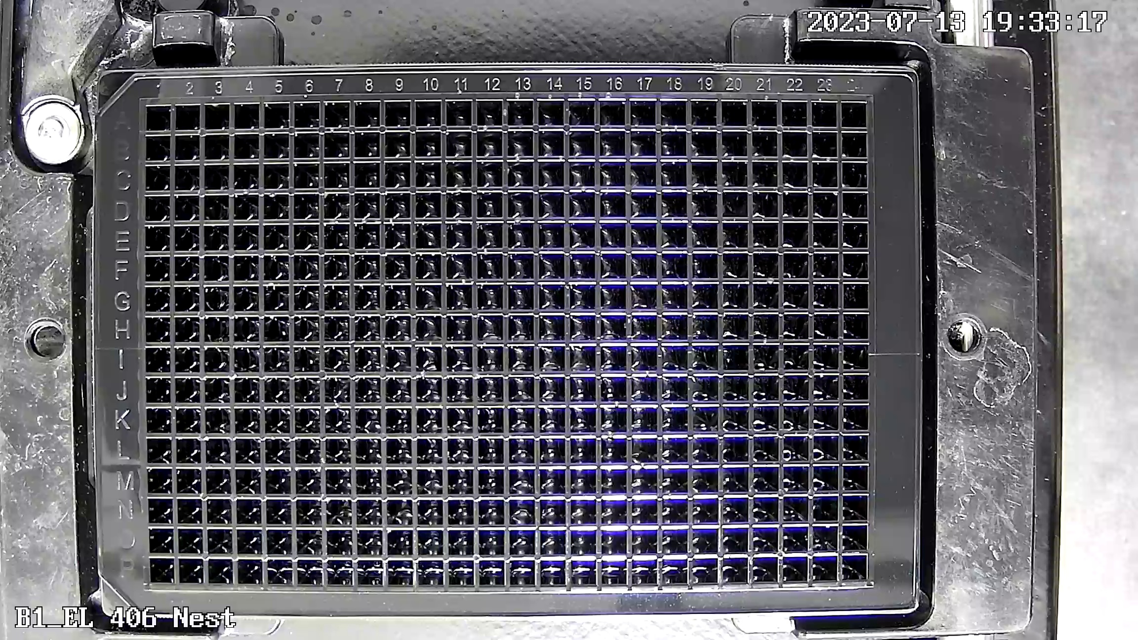 el406 Instance Segmentation Model by plates