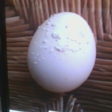 egg Classification Dataset by geennana