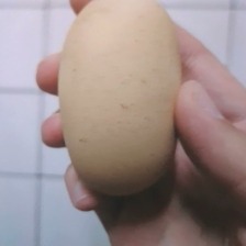 Egg Classification Classification Dataset by geennana