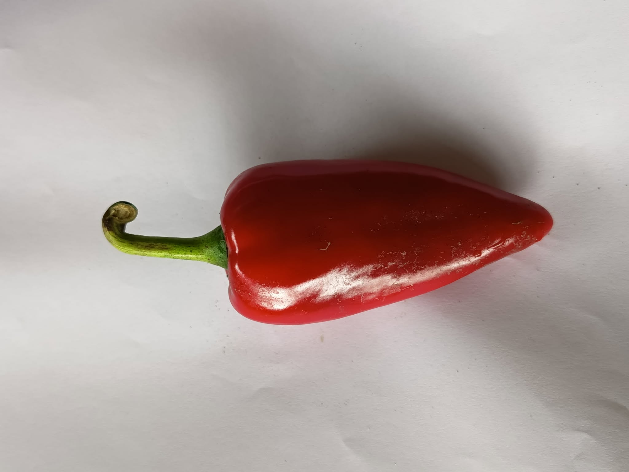 Classification of Capsicum1 Object Detection Model by Classification of ...