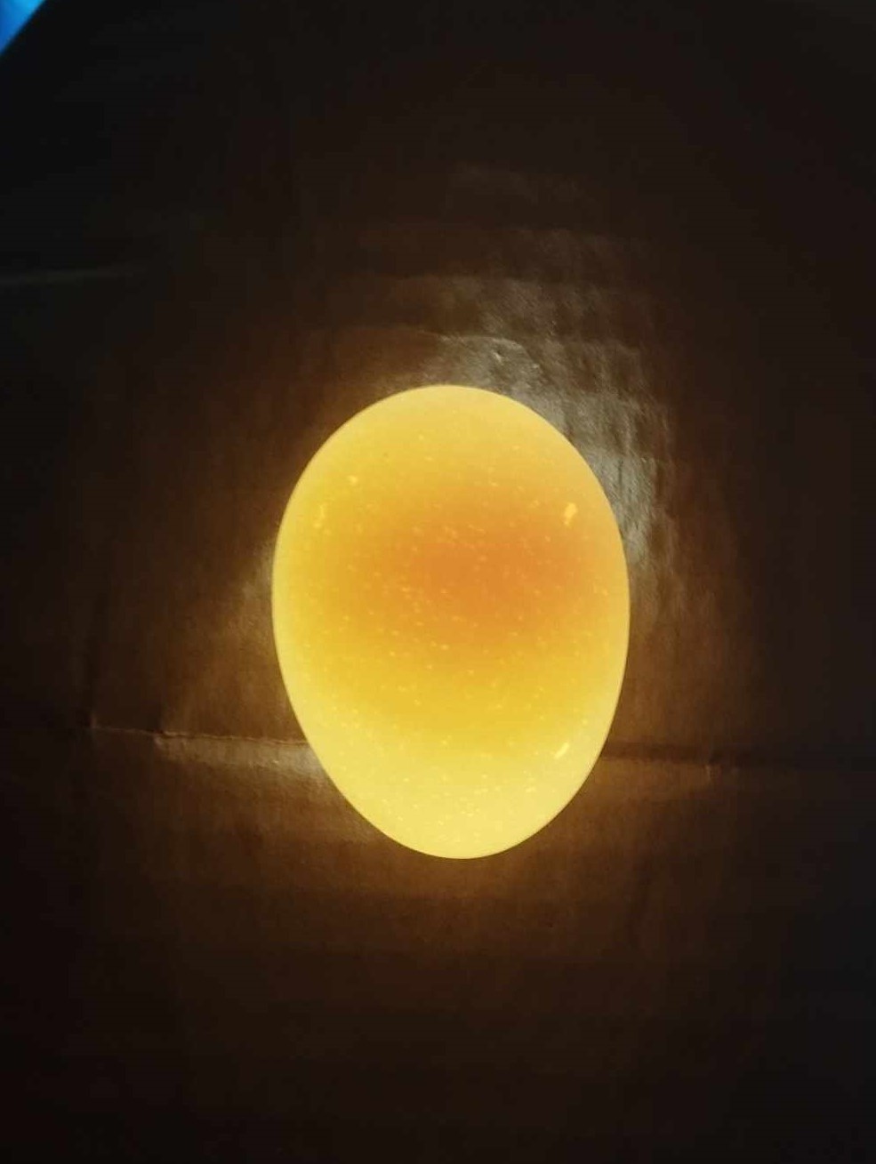 Experiment 01 Object Detection Model By Egg Spoiled