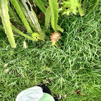 Python (python-wfiwe) - Roboflow Universe