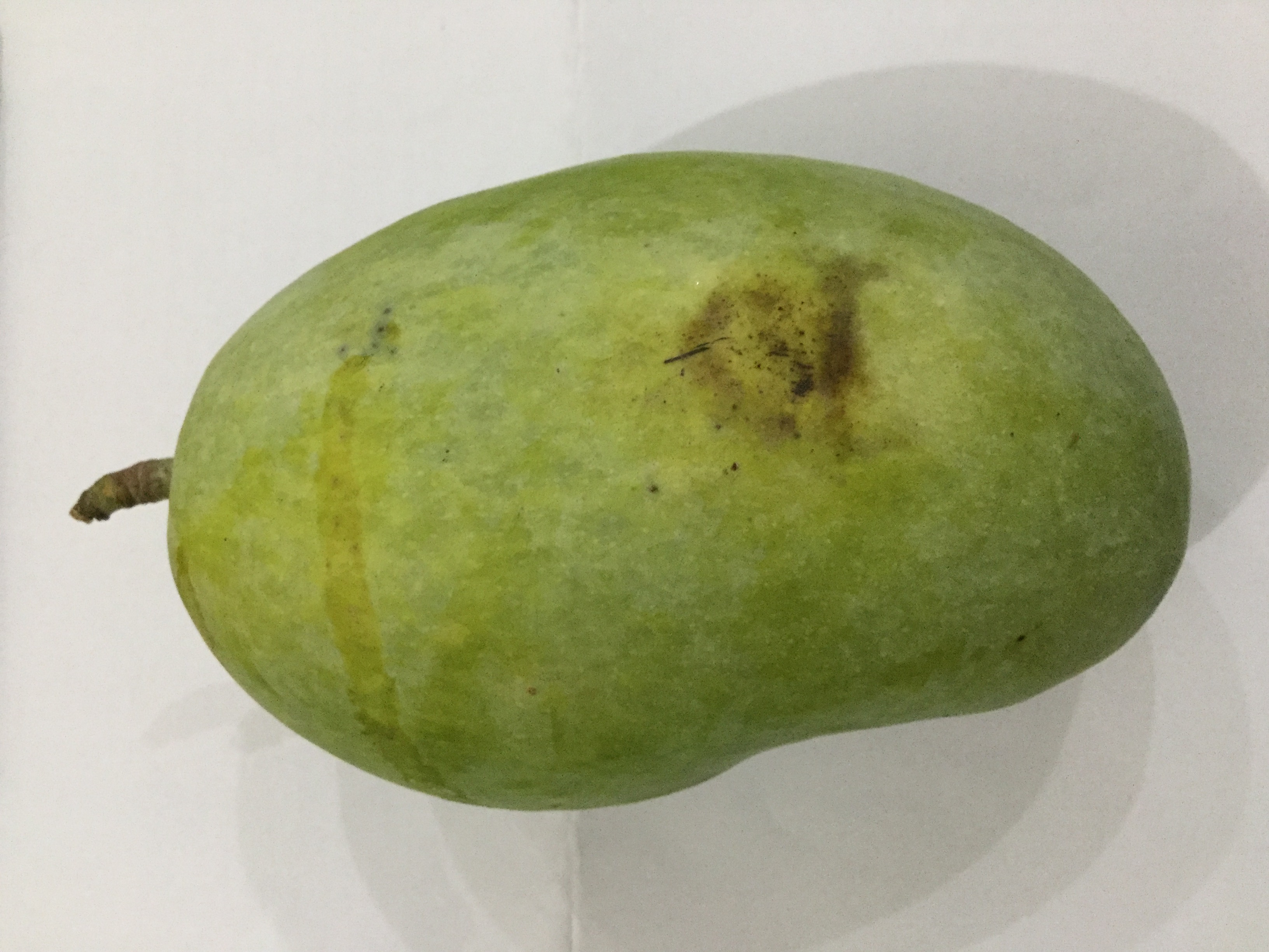 Day1withoutac Object Detection Dataset By Carabao Mango Sorting