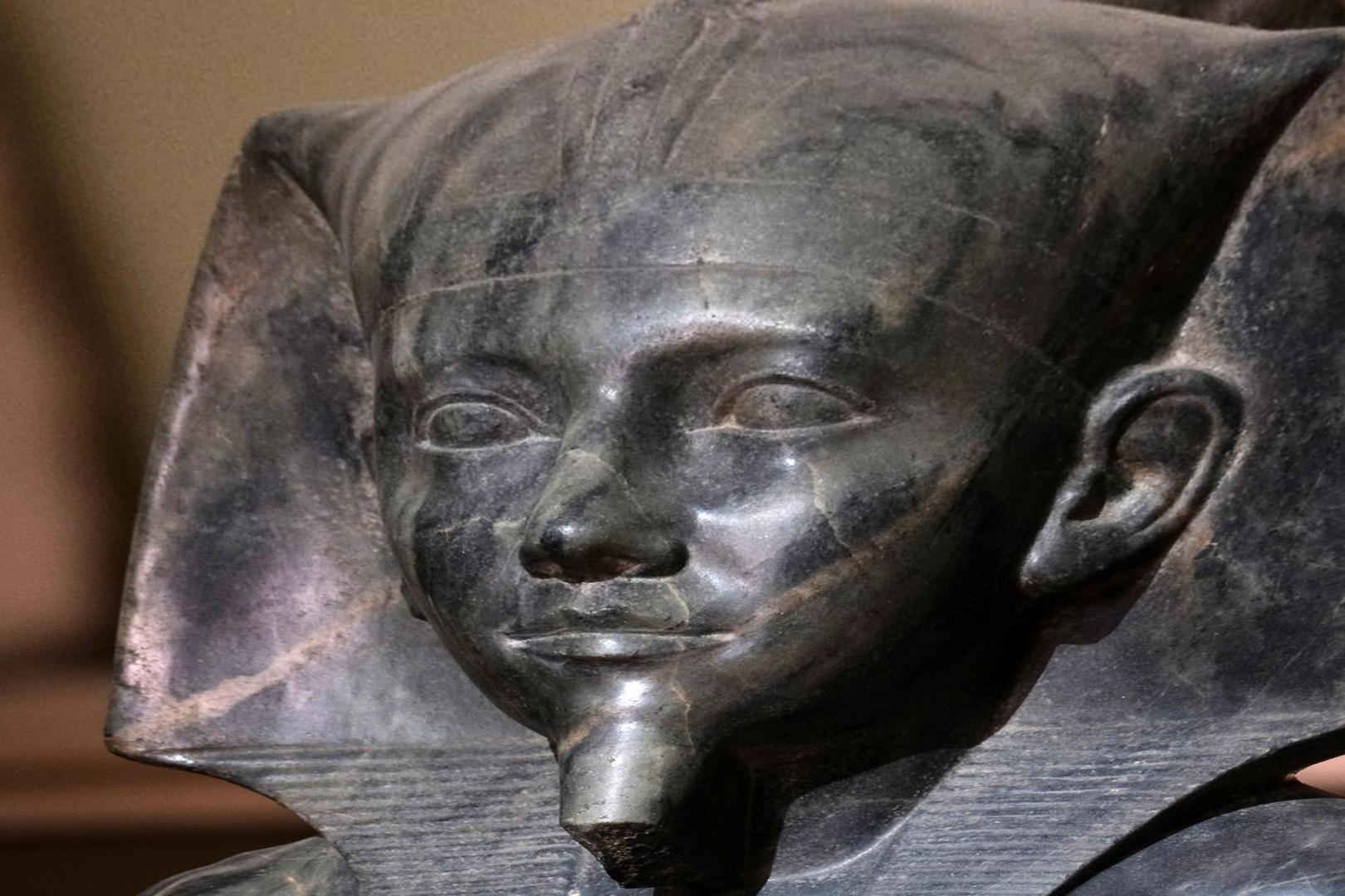 statue-classification Object Detection Dataset and Pre-Trained Model by touristra