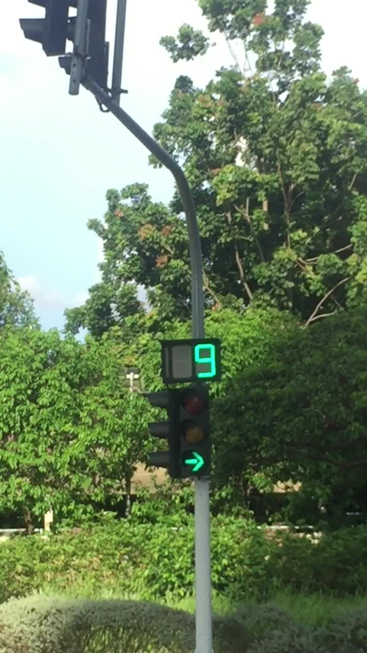 Traffic Light Counter Detection2 Object Detection Dataset By New