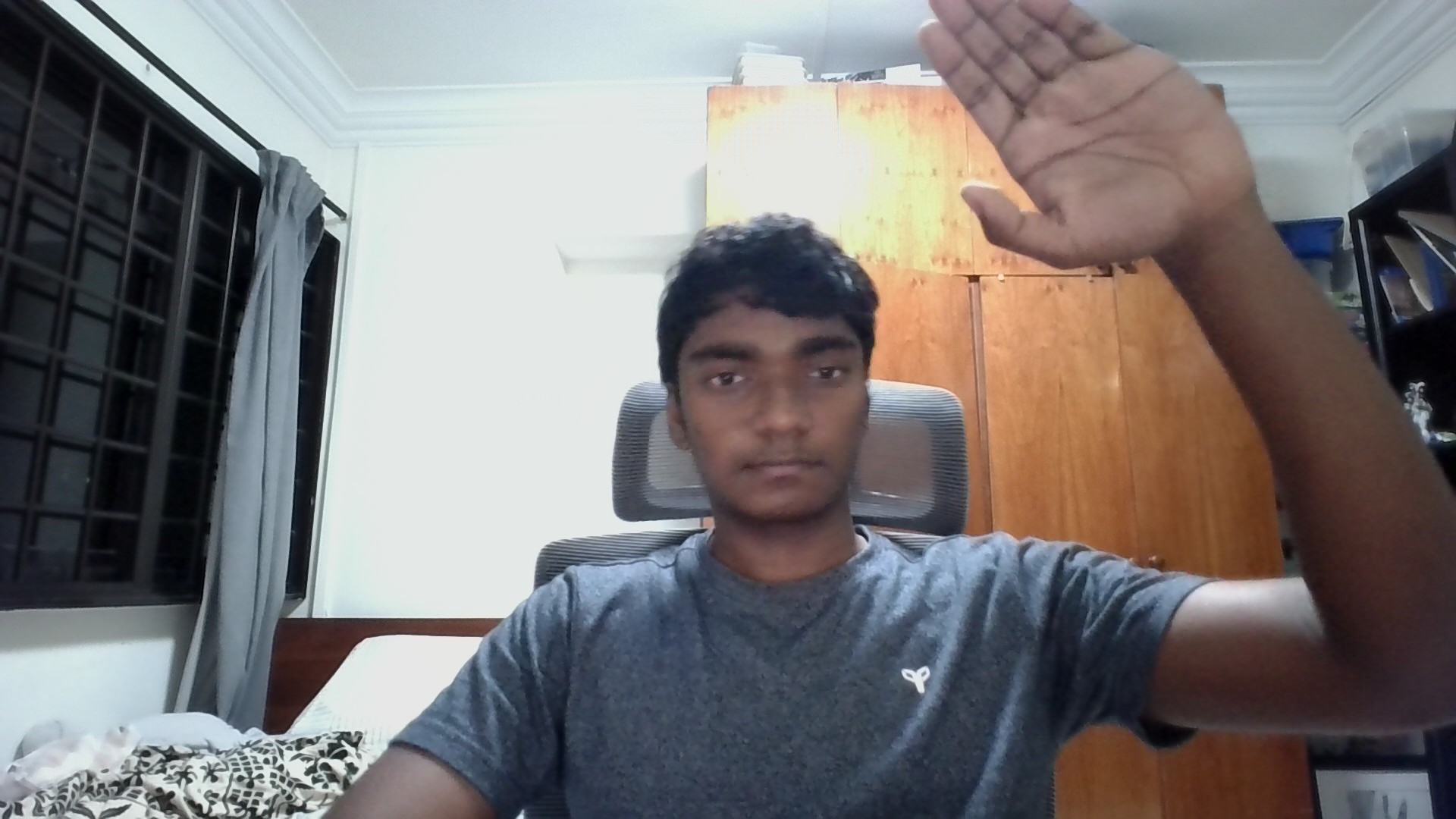 ASL_rec Object Detection Dataset and Pre-Trained Model by fulgore