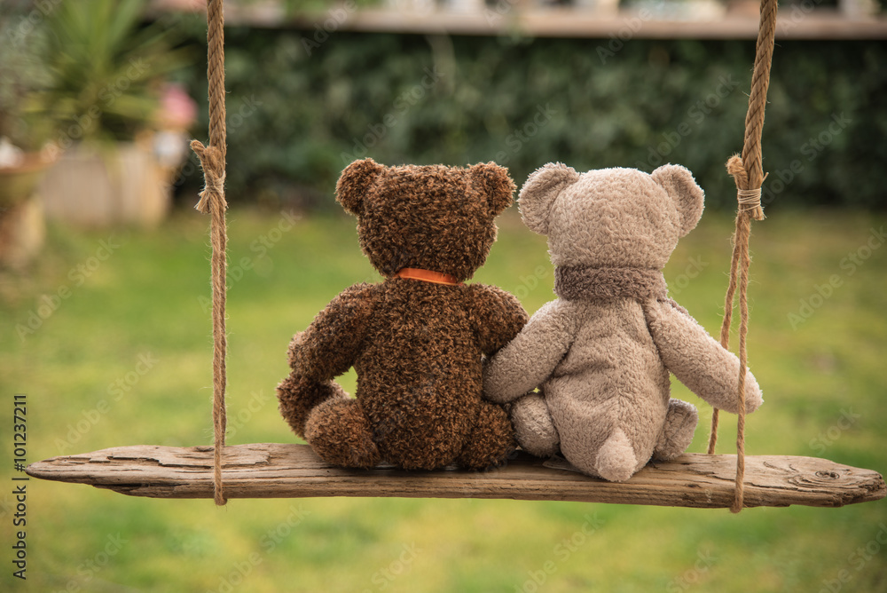 Teddy bear Object Detection Dataset by teddy bear