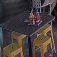 Demo v5 Segmentation Instance Segmentation Dataset by Tobie Flox