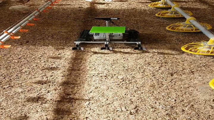 Live Demo Seg Chick Instance Segmentation Dataset by Tobie Flox