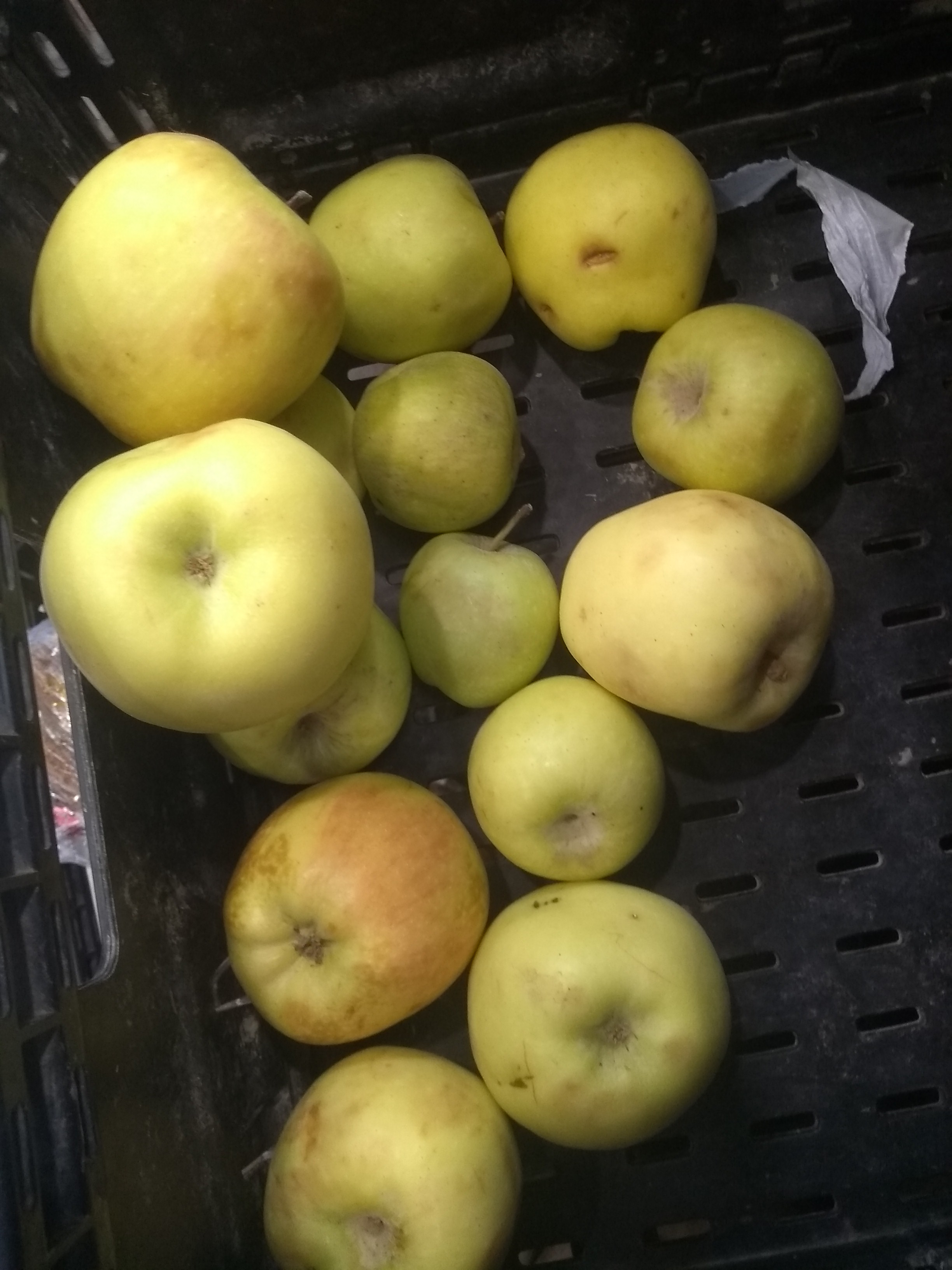 Class Image Detection Roboflow Universe Search