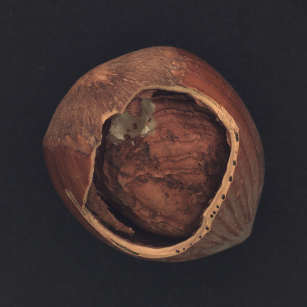 Hazelnut Defects Classification Model by Erik Tratnyek