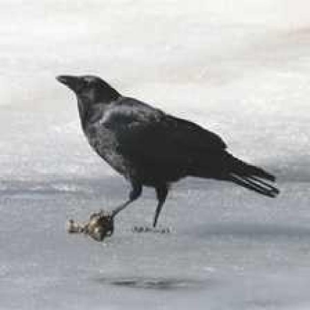 dreamit - Roboflow Universe