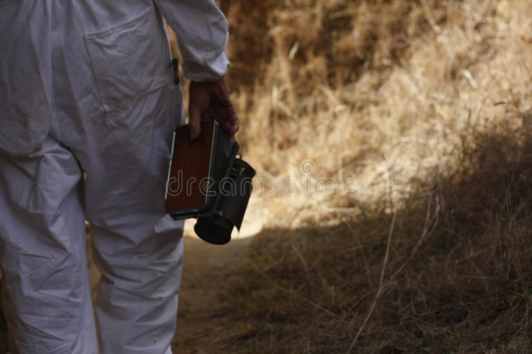 Bee Object Object Detection Dataset and Pre-Trained Model by Detection