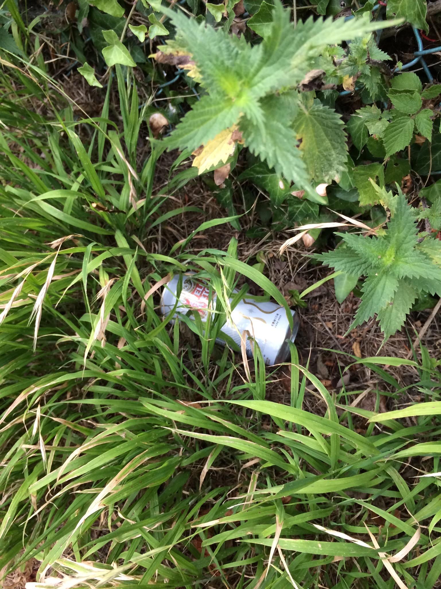 Garbage Detection (garbage-detection-sxamp) - Roboflow Universe