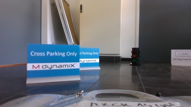 final Instance Segmentation Dataset and Pre-Trained Model by 2024 Project