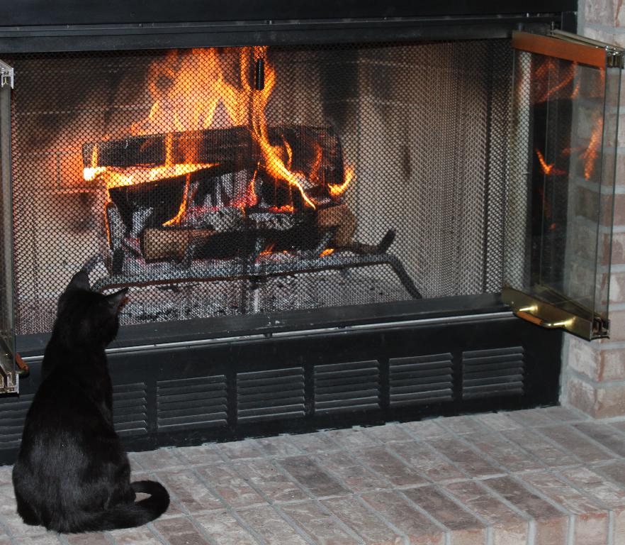 Fire Detection_Final tryyyy Object Detection Dataset and Pre-Trained Model by Mustafa