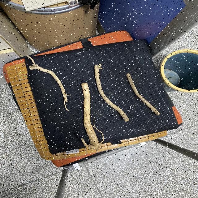 ddd Object Detection Model by niuniu