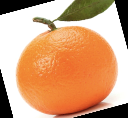 fruit Object Detection Dataset by orange