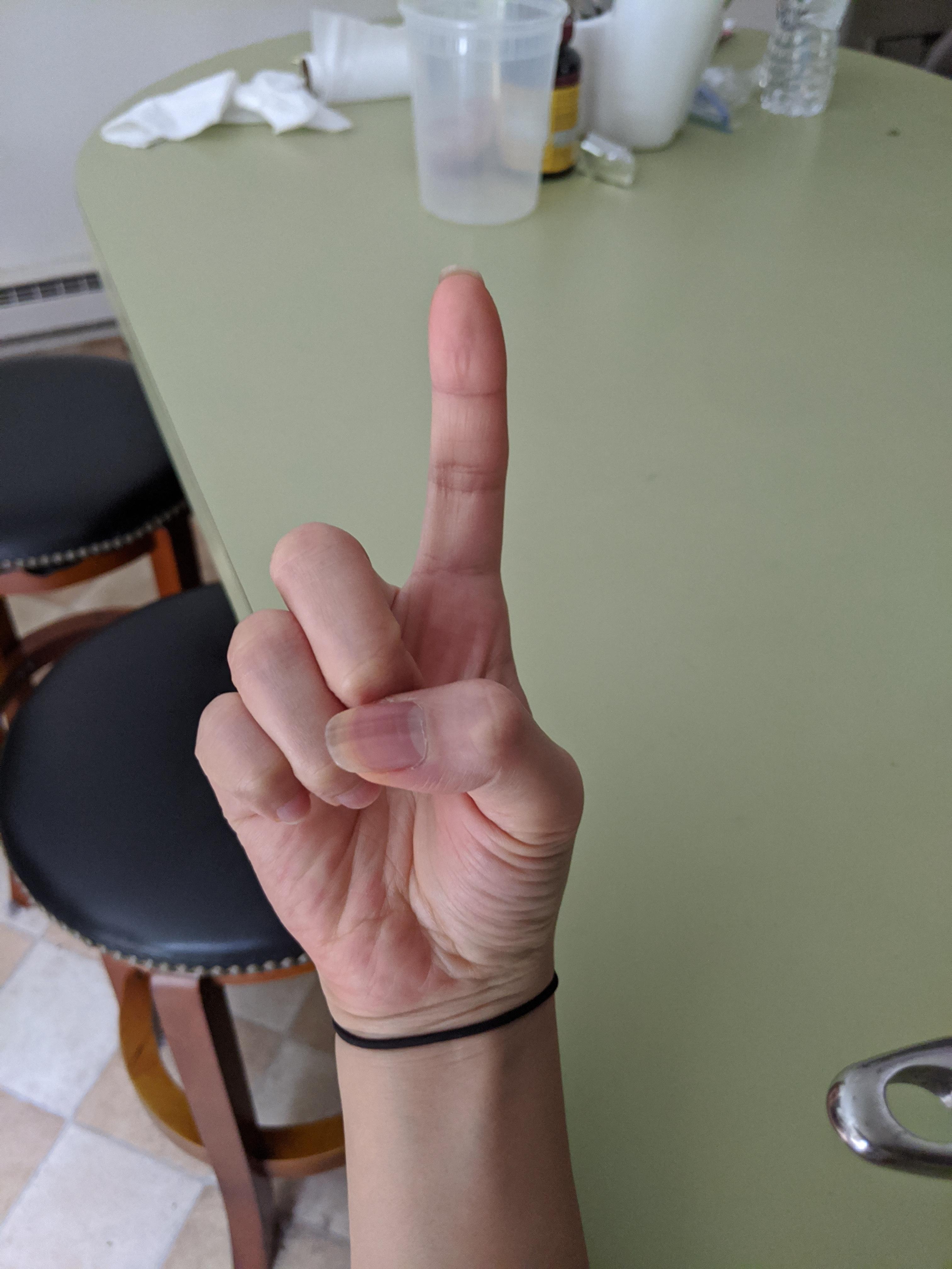 ASL Object Detection Dataset and Pre-Trained Model by lakshay