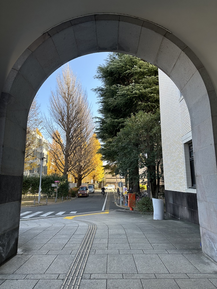 my_coco_dataset Object Detection Dataset by imagerecognition