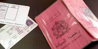 data annotation Object Detection Dataset and Pre-Trained Model by pfe