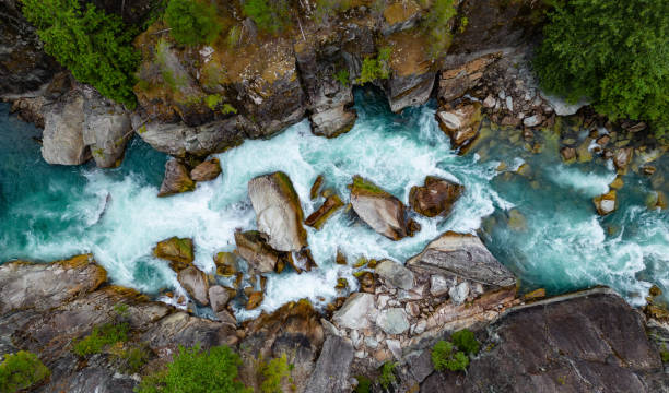 River Detection Object Detection Model by test