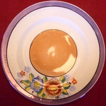 dirt-plate Instance Segmentation Dataset and Pre-Trained Model by project-zcp0a