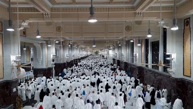 Dense Crowd Tracking Object Detection Dataset And Pre Trained Model By