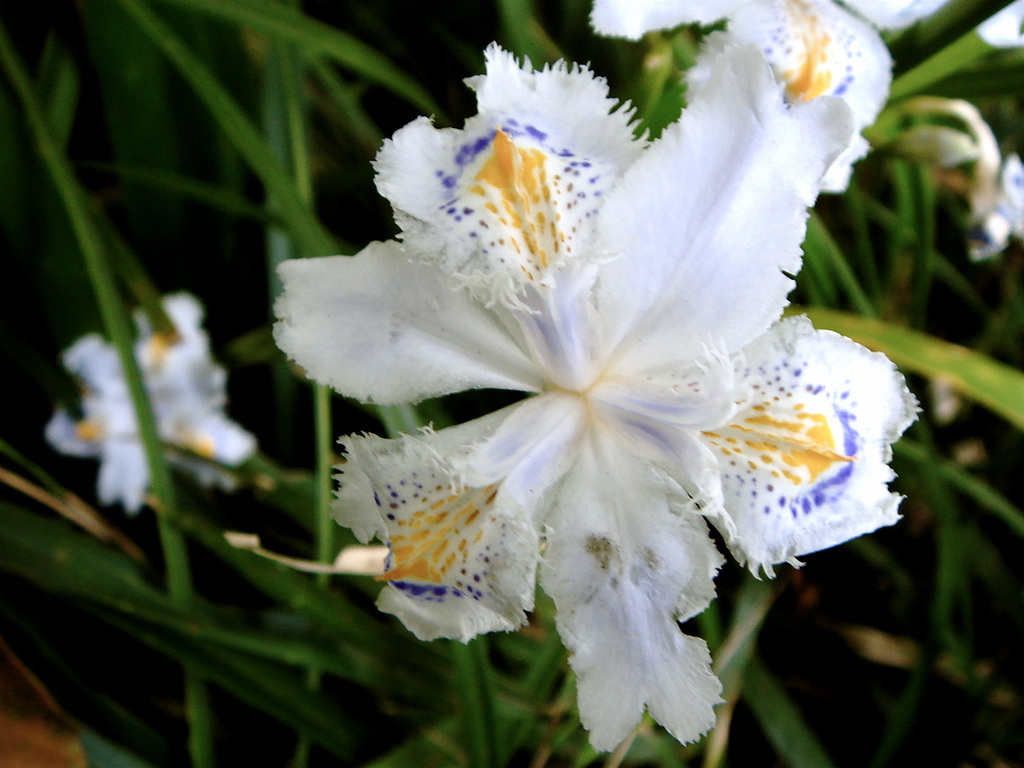 How to Use the yolov8 Object Detection API