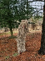 Top Fpv Datasets and Models | Roboflow Universe