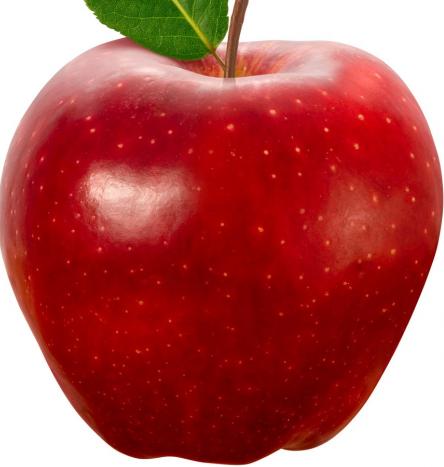 Rotten/Fresh Fruit Classification Dataset and Pre-Trained Model by ...