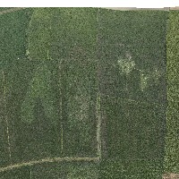 Google map sattelite rice field boundaries - Roboflow Universe