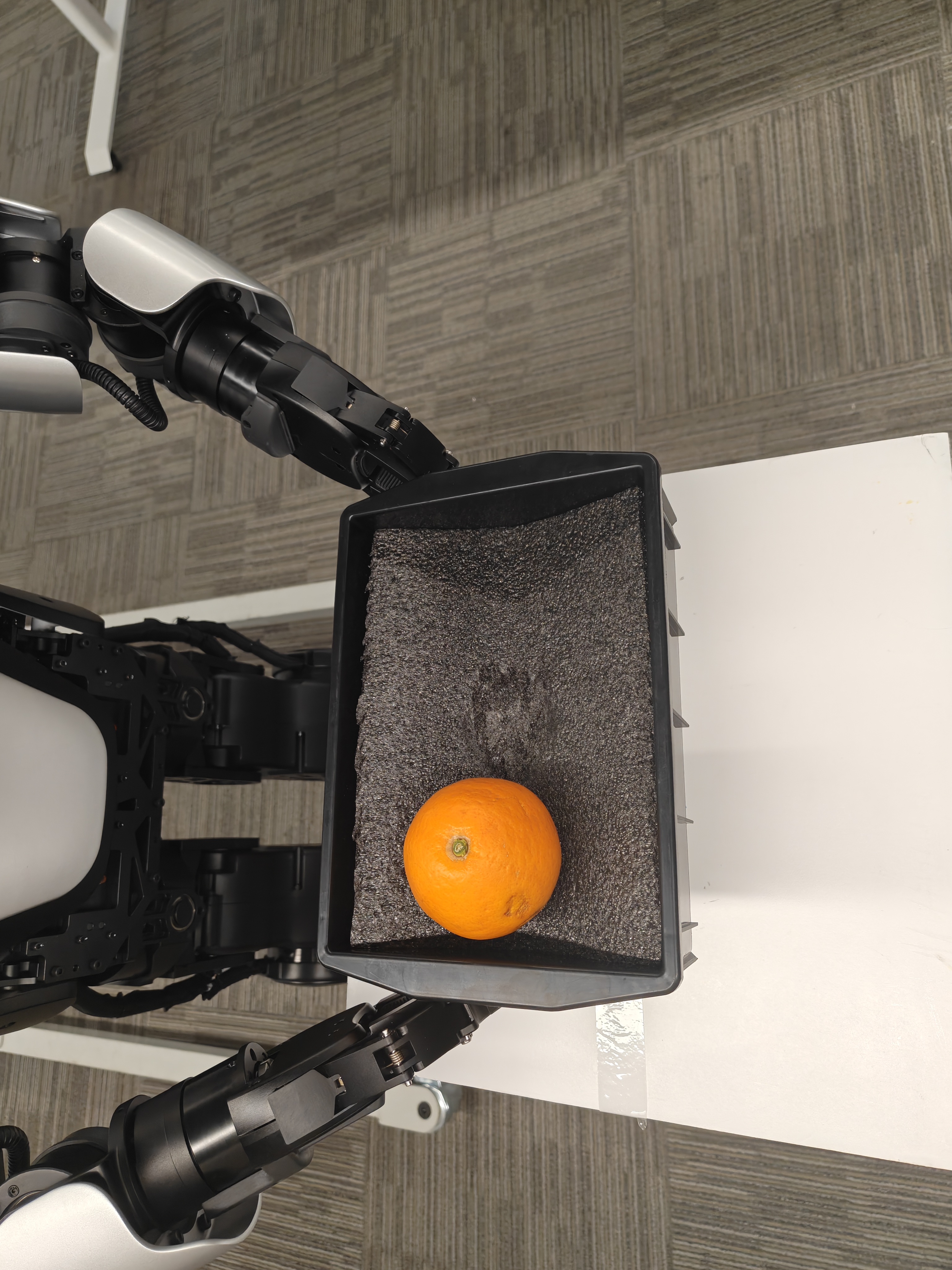 orange Classification Dataset by robot