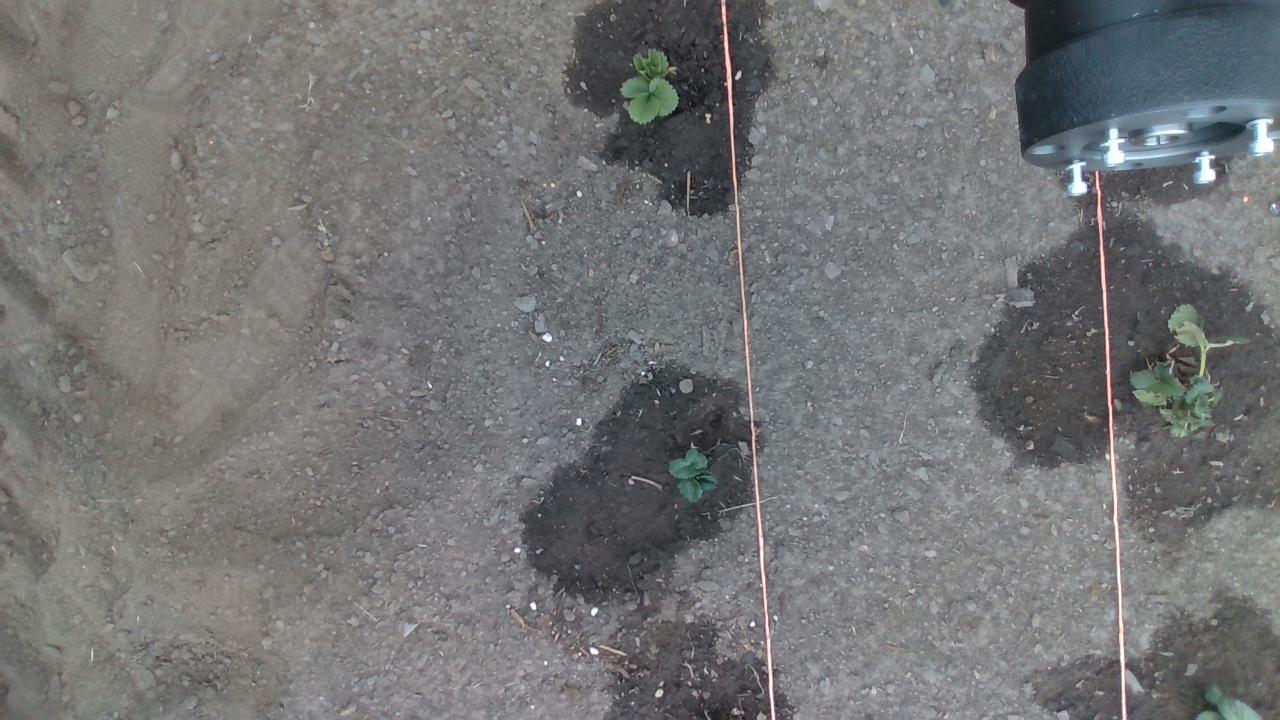 Tree Trunks - Roboflow Universe