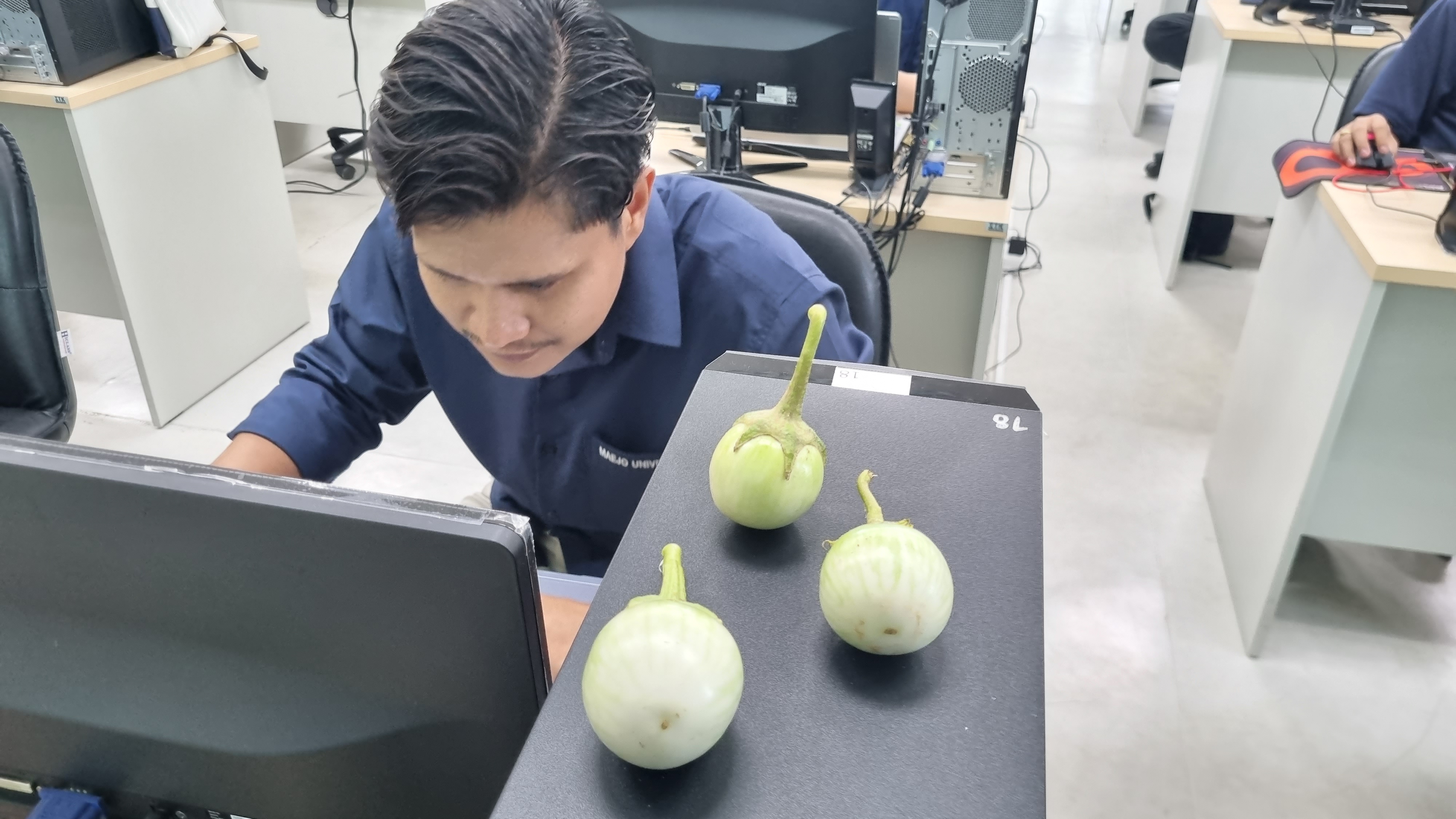 vegetable Object Detection Dataset by jnbjh