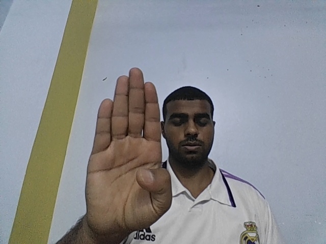 Alexandria Sign Object Detection Dataset by Douha