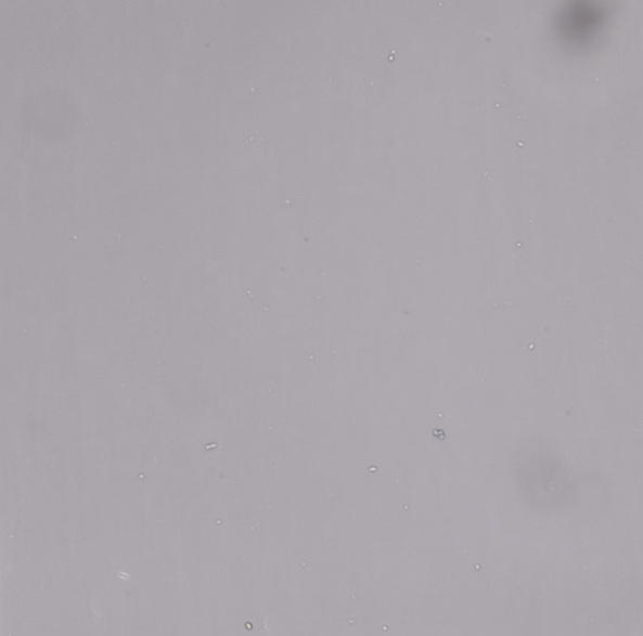 Cell count - Roboflow Universe