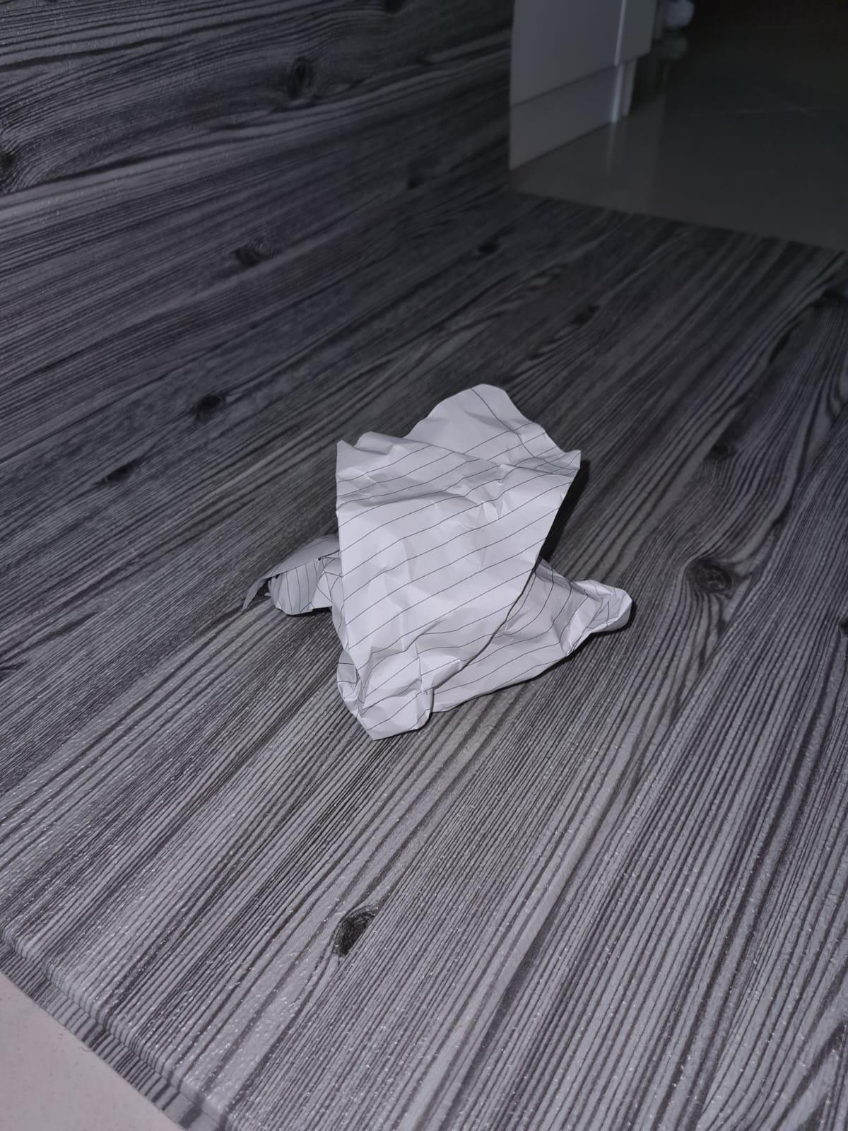 Paper-Obstacle-Detection Object Detection Dataset and Pre-Trained Model by Meetdhote