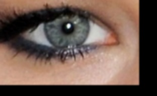 cataract-detection Dataset and Pre-Trained Model by collegefinalproject