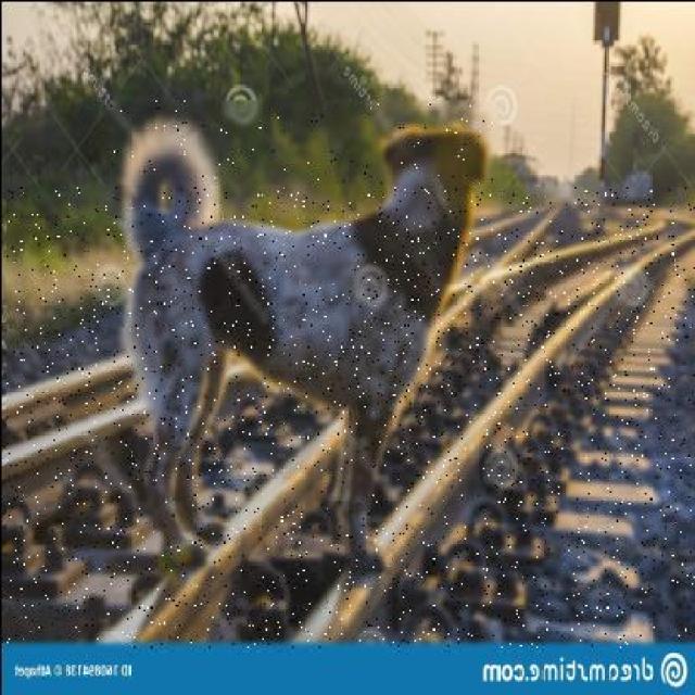 Traintracks Detect Object Detection Dataset And Pre Trained Model By