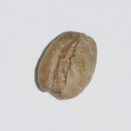 Detection of Coffee bean Object Detection Dataset by SourceError