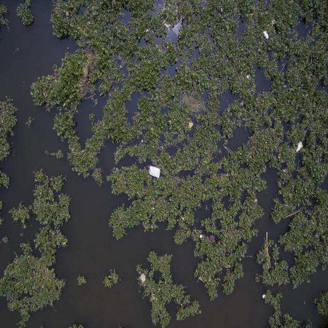 Plastic_Waste_v1.1 Instance Segmentation Dataset by MTech