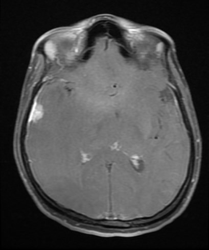 Master Business Analytics - Roboflow Universe