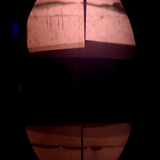 black worm Instance Segmentation Model by shit